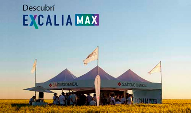 Reviví la primer jornada del pre lanzamiento de Excalia Max, un nuevo ...