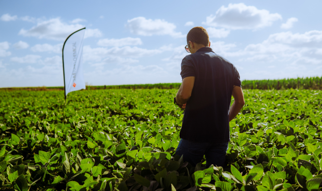 El “Niño” obliga al monitoreo constante para prevenir la presencia de ...